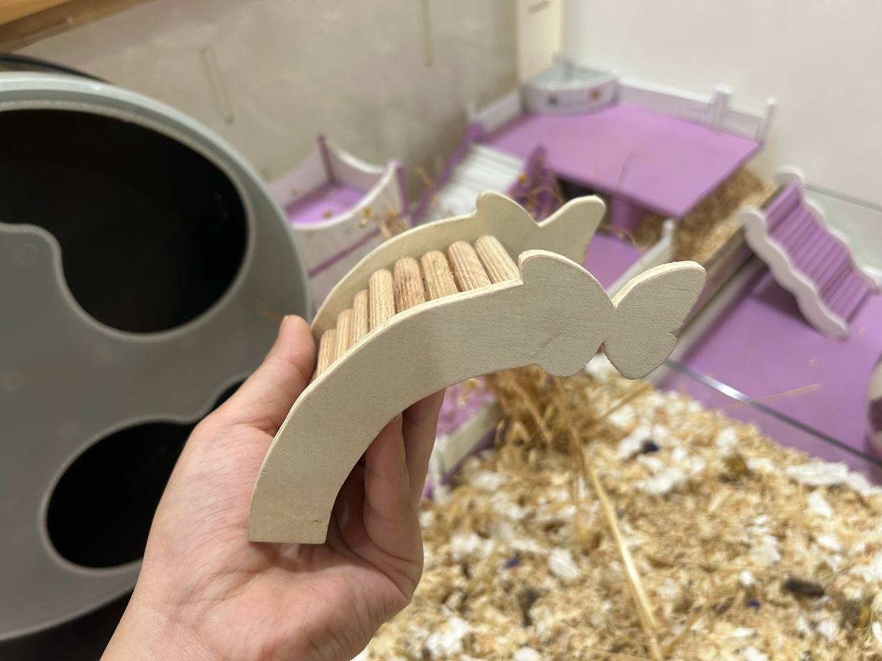 hamster butterfly shaped bridge stairs and wave ladder gerbil small ...